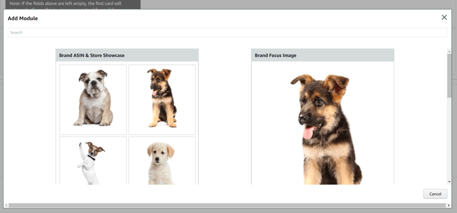 Amazon A+ Premium Content: Guide + Examples to Grow Sales